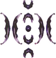 Dark Elemental (FFX-2) - Final Fantasy Wiki - Neoseeker