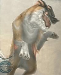 Wary Wolf - Final Fantasy Wiki - Neoseeker