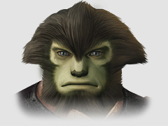 Galka - Final Fantasy Wiki - Neoseeker