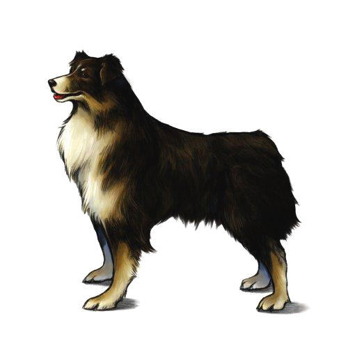 Angelo - Final Fantasy Wiki - Neoseeker