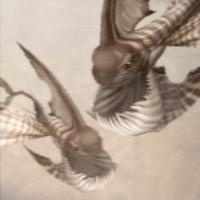 Focalor - Final Fantasy Wiki - Neoseeker