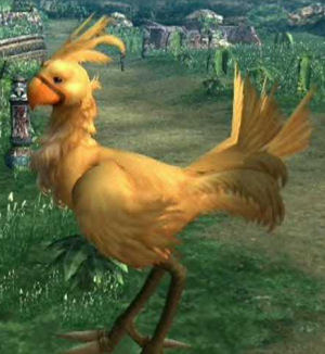Chocobo - Final Fantasy Wiki - Neoseeker