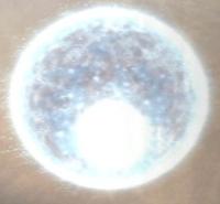 Undin Entite - Final Fantasy Wiki - Neoseeker