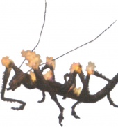 King VERMIN! - Final Fantasy Wiki - Neoseeker