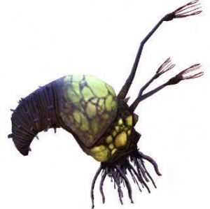 Infection Forms - Halo Wiki - Neoseeker