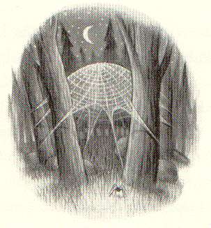 Aragog - Harry Potter Wiki - Neoseeker