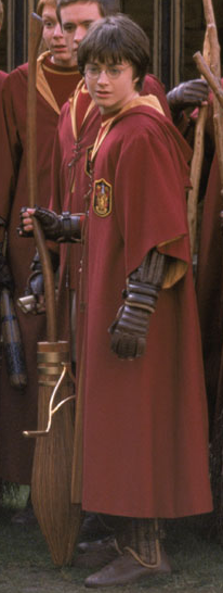 Gryffindor - Harry Potter Wiki - Neoseeker