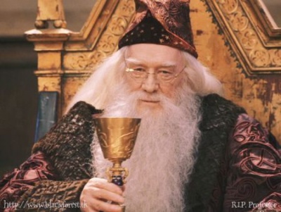 Albus Dumbledore - Harry Potter Wiki - Neoseeker