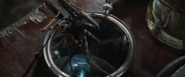 Crucio - Harry Potter Wiki - Neoseeker