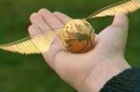 Chaser - Harry Potter Wiki - Neoseeker