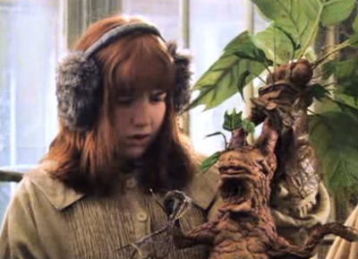 Susan Bones - Harry Potter Wiki - Neoseeker