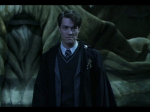 Voldemort - Harry Potter Wiki - Neoseeker