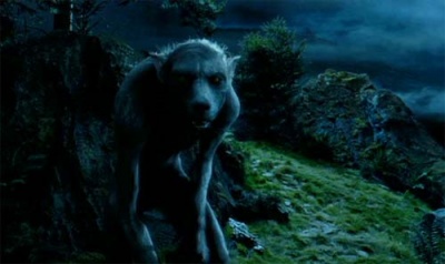 Werewolf - Harry Potter Wiki - Neoseeker
