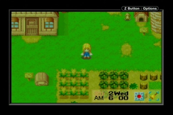 Crops and Planting (MFoMT) - Harvest Moon Wiki - Neoseeker