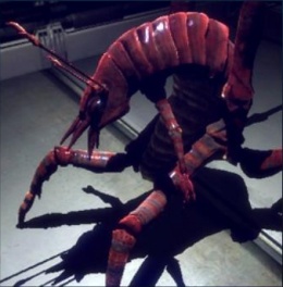 Rachni Wars - Mass Effect Wiki - Neoseeker