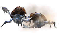 Ceanataur - Monster Hunter Wiki - Neoseeker