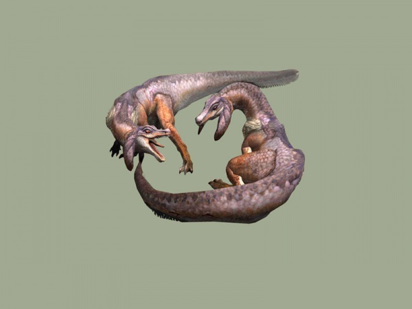 Jaggia - Monster Hunter Wiki - Neoseeker