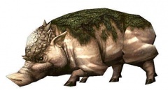 Mosswine - Monster Hunter Wiki - Neoseeker