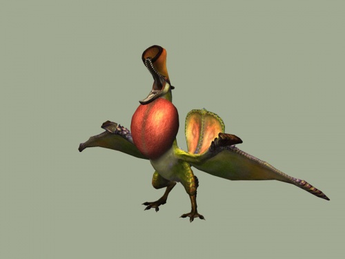 Bird Wyvern - Monster Hunter Wiki - Neoseeker