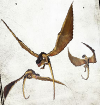 Remobra - Monster Hunter Wiki - Neoseeker