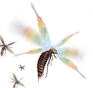 Queen Vespoid - Monster Hunter Wiki - Neoseeker