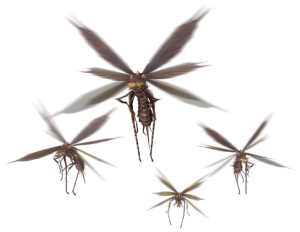 Vespoid - Monster Hunter Wiki - Neoseeker