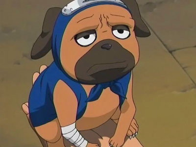 Pakkun - Naruto Wiki - Neoseeker