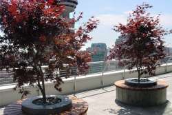 EA Black Box - Need For Speed Wiki - Neoseeker