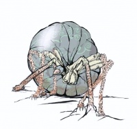 Bandit Spiders - Okami Wiki - Neoseeker