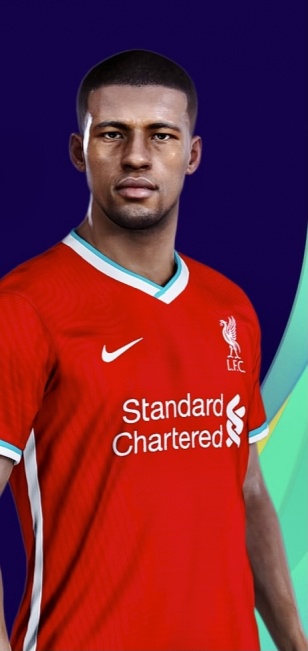 Georginio Wijnaldum - Pro Evolution Soccer Wiki - Neoseeker