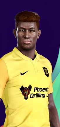 Djibril Diani - Pro Evolution Soccer Wiki - Neoseeker