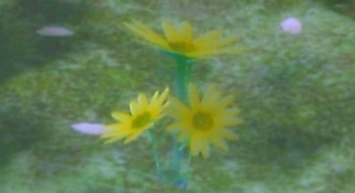 Creeping Chrysanthemum - Pikmin Wiki - Neoseeker