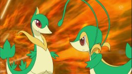 A Rival Battle for Club Champ! - Pokémon Wiki - Neoseeker