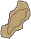 Claw Fossil - Pokémon Wiki - Neoseeker