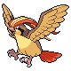 Falkner - Pokémon Wiki - Neoseeker