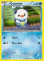 Oshawott - Pokémon Wiki - Neoseeker