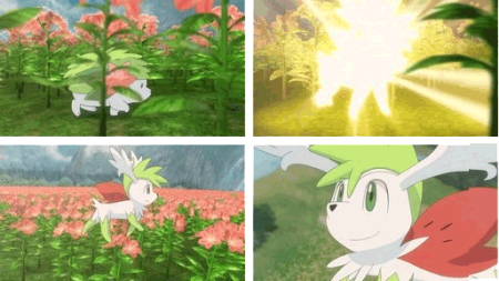 Gracidea Flower - Pokémon Wiki - Neoseeker