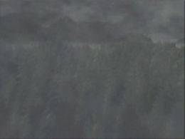 Arklay Forest - Resident Evil Wiki - Neoseeker