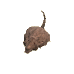 Slayer - Runescape Wiki - Neoseeker