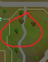 Chicken - Runescape Wiki - Neoseeker