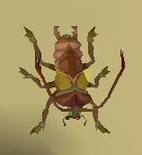 Cockroach Soldier - Runescape Wiki - Neoseeker