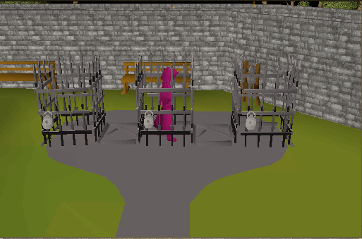 Random Events - Runescape Wiki - Neoseeker