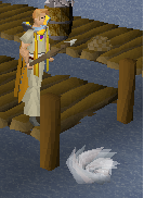 Random Events - Runescape Wiki - Neoseeker