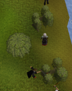 Draynor Village - Runescape Wiki - Neoseeker