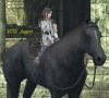 Agro - Shadow of the Colossus Wiki - Neoseeker