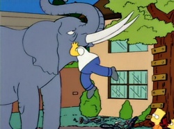 Bart Gets an Elephant - The Simpsons Wiki - Neoseeker