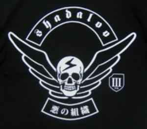 Shadaloo - Street Fighter Wiki - Neoseeker