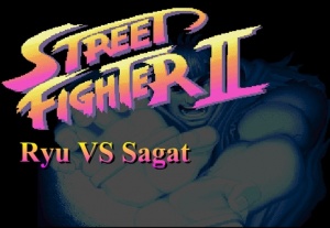 Street Fighter II: Ryu vs Sagat - Street Fighter Wiki - Neoseeker