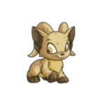 Neopets/Acara - WikiGuides Wiki - Neoseeker