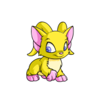 Neopets/Acara - WikiGuides Wiki - Neoseeker